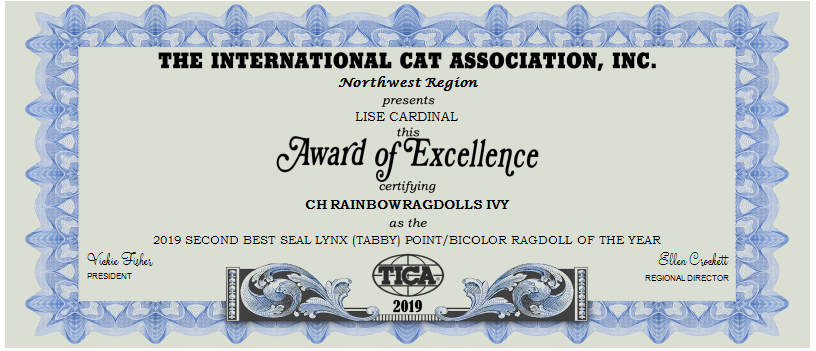 Ragdoll Queens | Rainbow Ragdolls Cattery