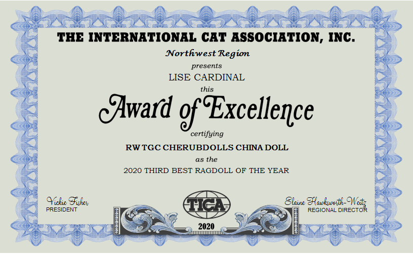 Ragdoll Queens | Rainbow Ragdolls Cattery