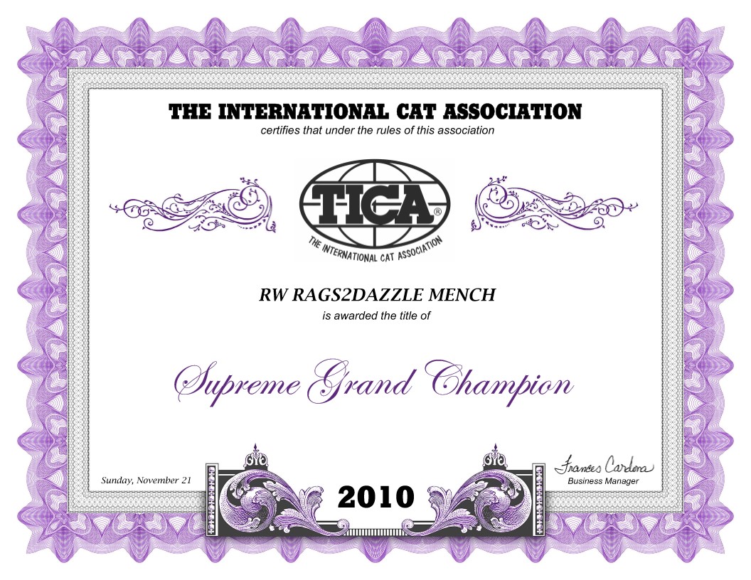 Ragdoll Kings - Rainbow Ragdolls Cattery